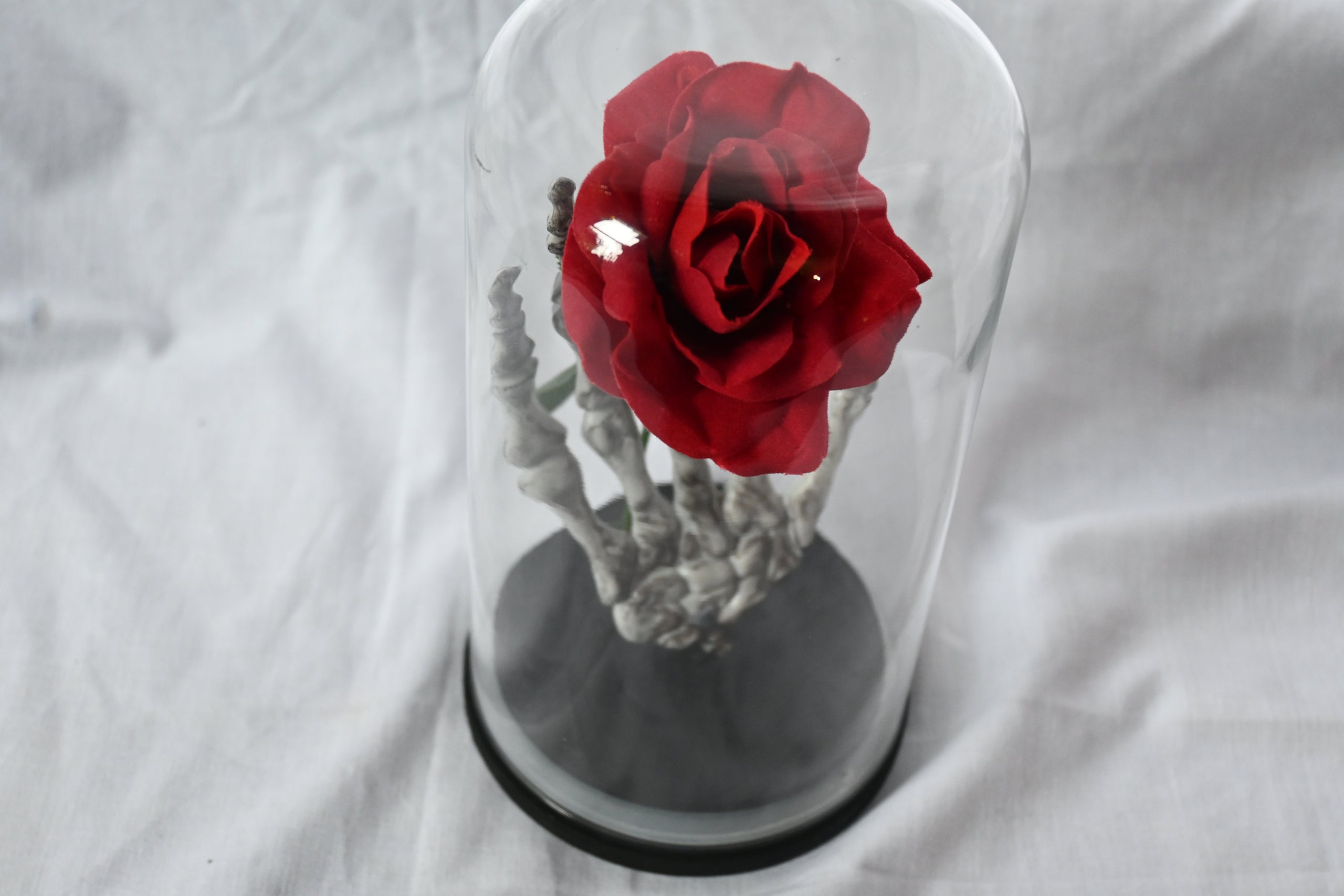 Skeleton hand & Rose Glass Dome | Haunted Manoir
